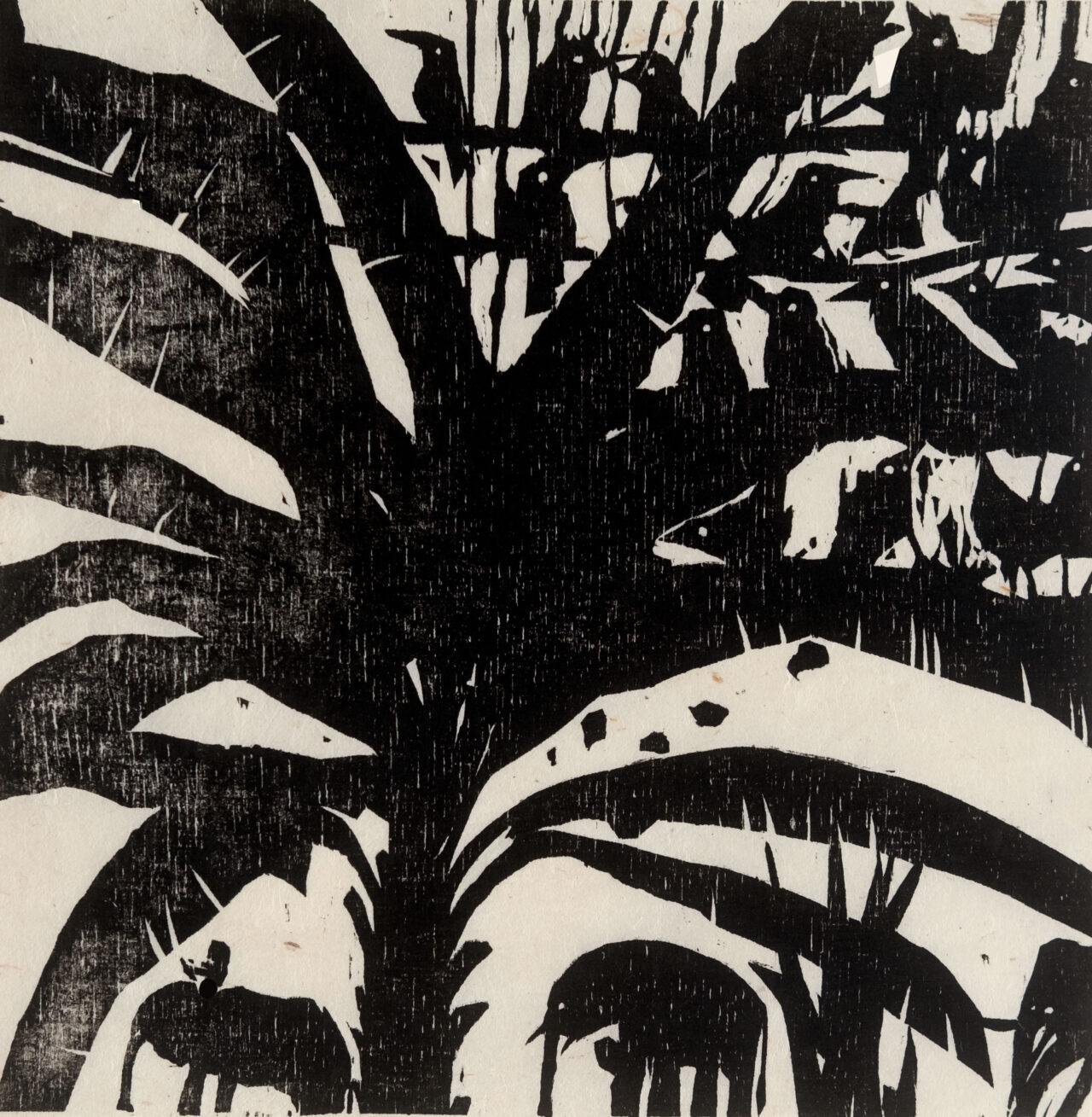 Portfolio - Philip Cartland