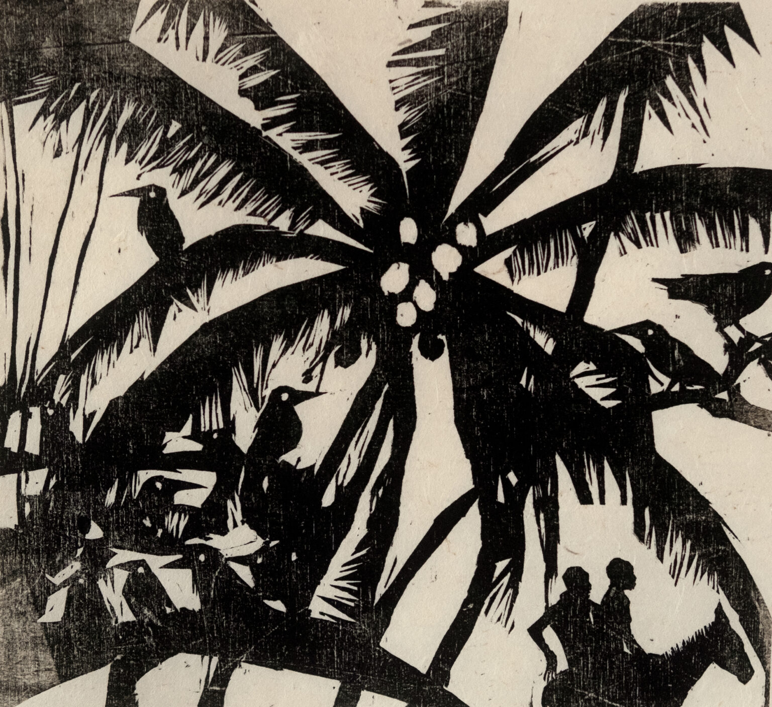Portfolio - Philip Cartland
