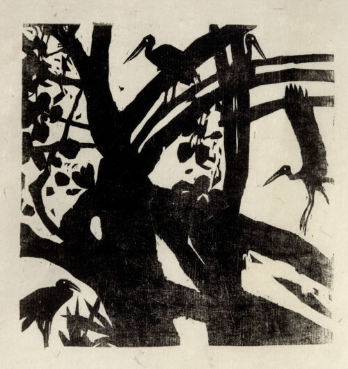 Portfolio - Philip Cartland