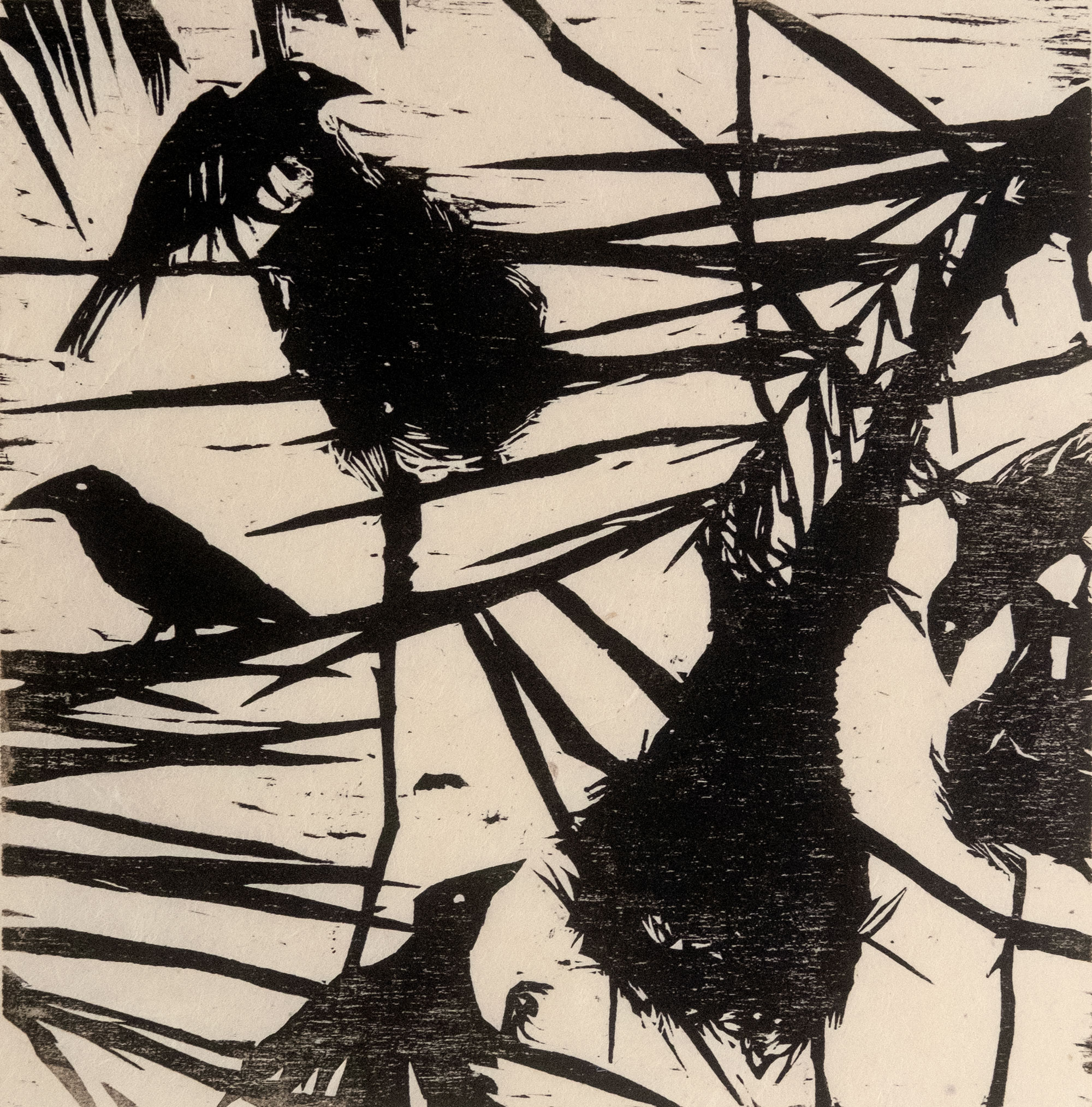 Portfolio - Philip Cartland